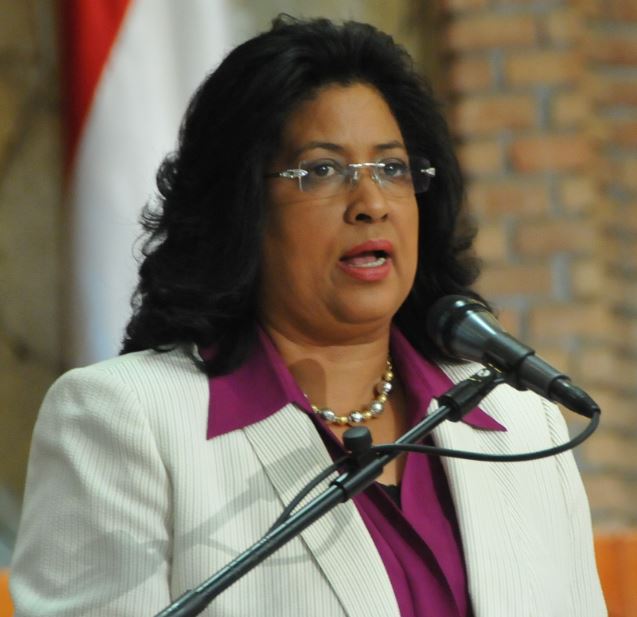 La unidad es la mejor bandera | PLD AL DIA